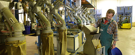 Produzione Sementi di bietola Strube - Carla Import Sementi